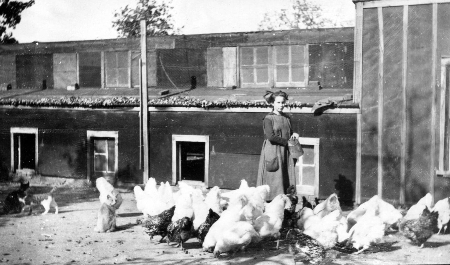 The History of the Global Ministry Center, Bethany, Oklahoma - General ...